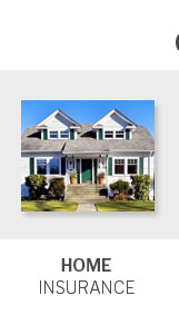 Cincinnati Life Term Insurance 🚘 May 2025