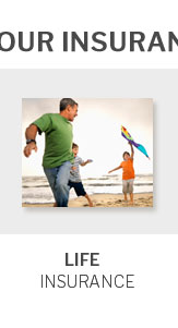 Cincinnati Life Term Insurance 🚘 May 2025